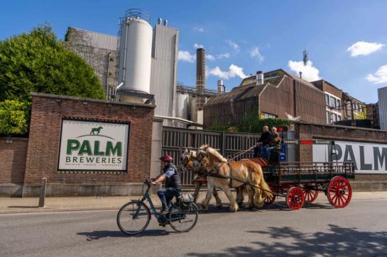 Brouwerijen | Gemeente Londerzeel